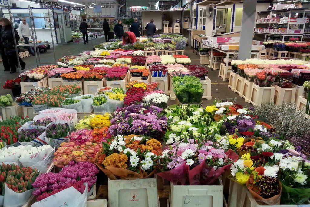 Visit of Rungis Market with an official guide