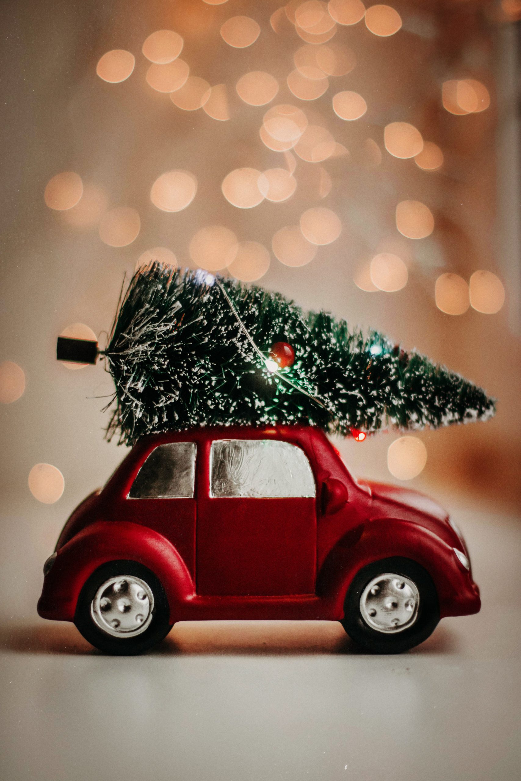Christmas dinner and festive food in France - La Route des Gourmets
