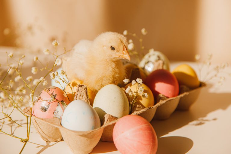 Easter culinary traditions in France