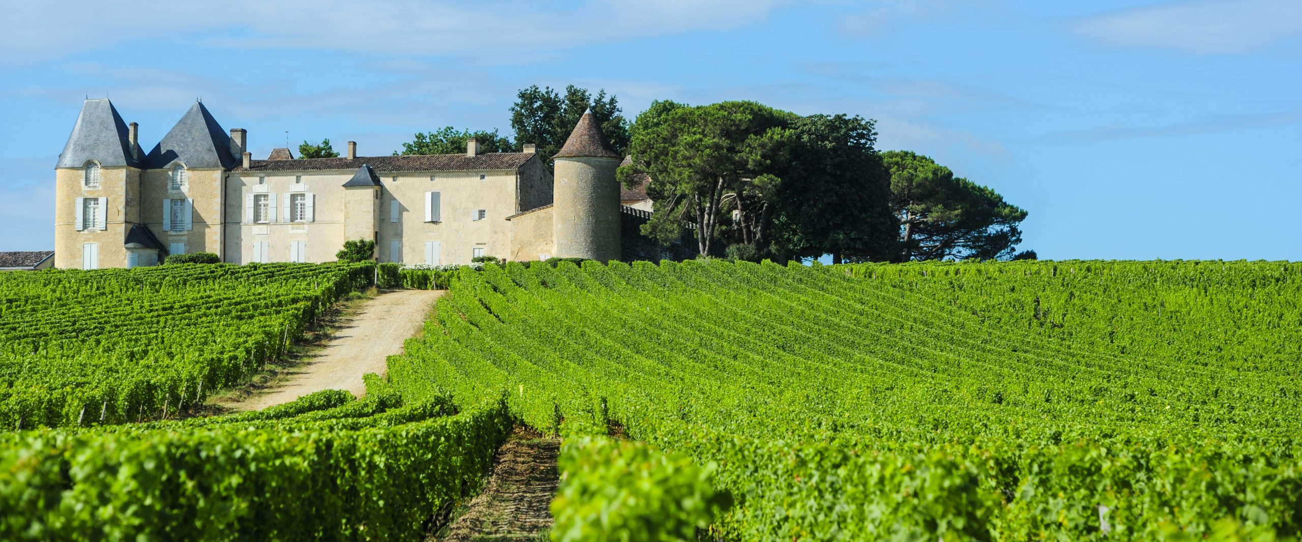 All-inclusive 9-day Gourmet Wine Tour of France